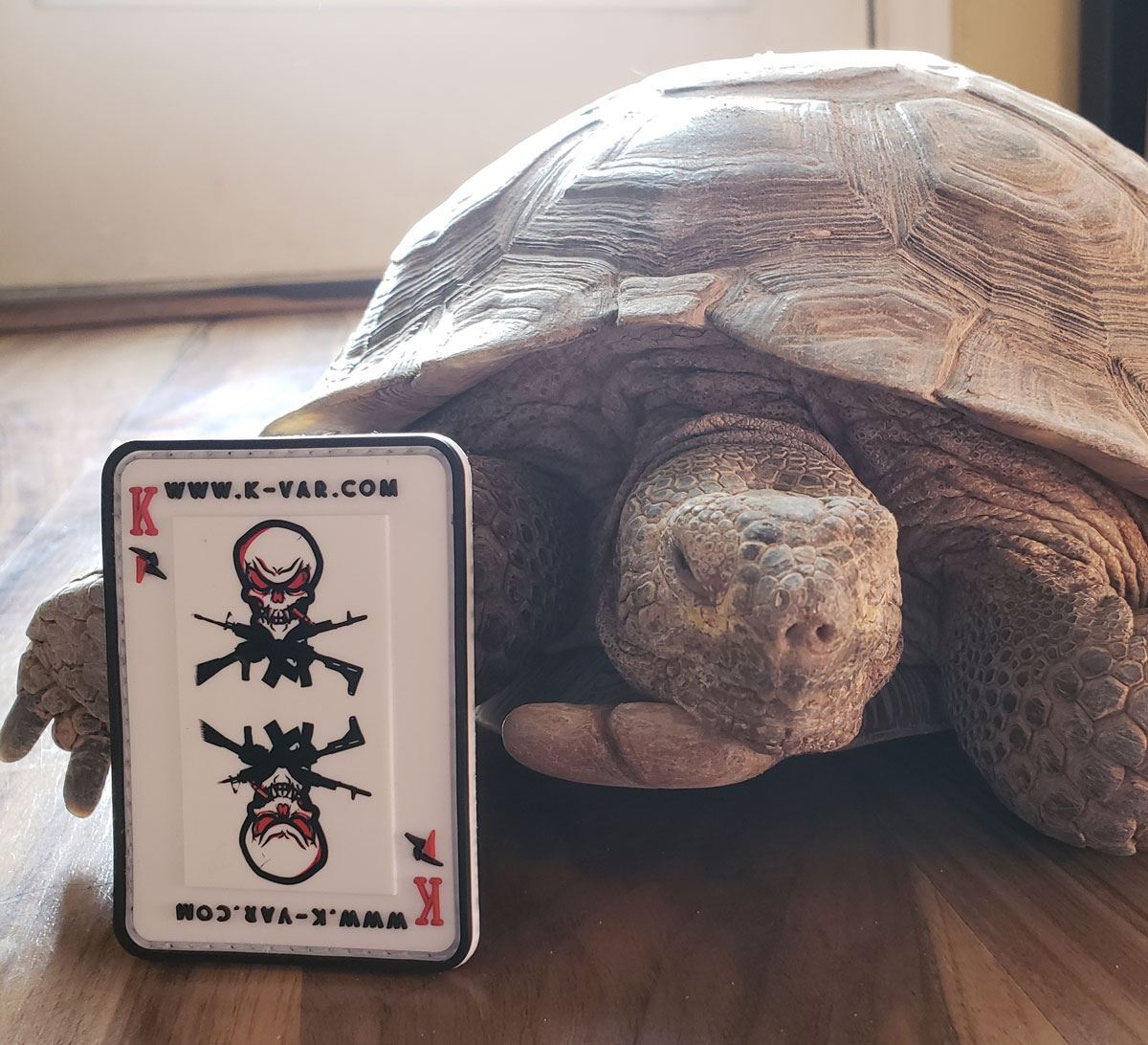 K-Var PVC Velcro KVAR Playing Card with Skull Patch at K-Var