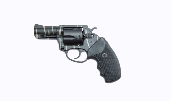 Charter Arms Bulldog Tiger .44 Special 5rd Revolver Black Tiger Stripe ...