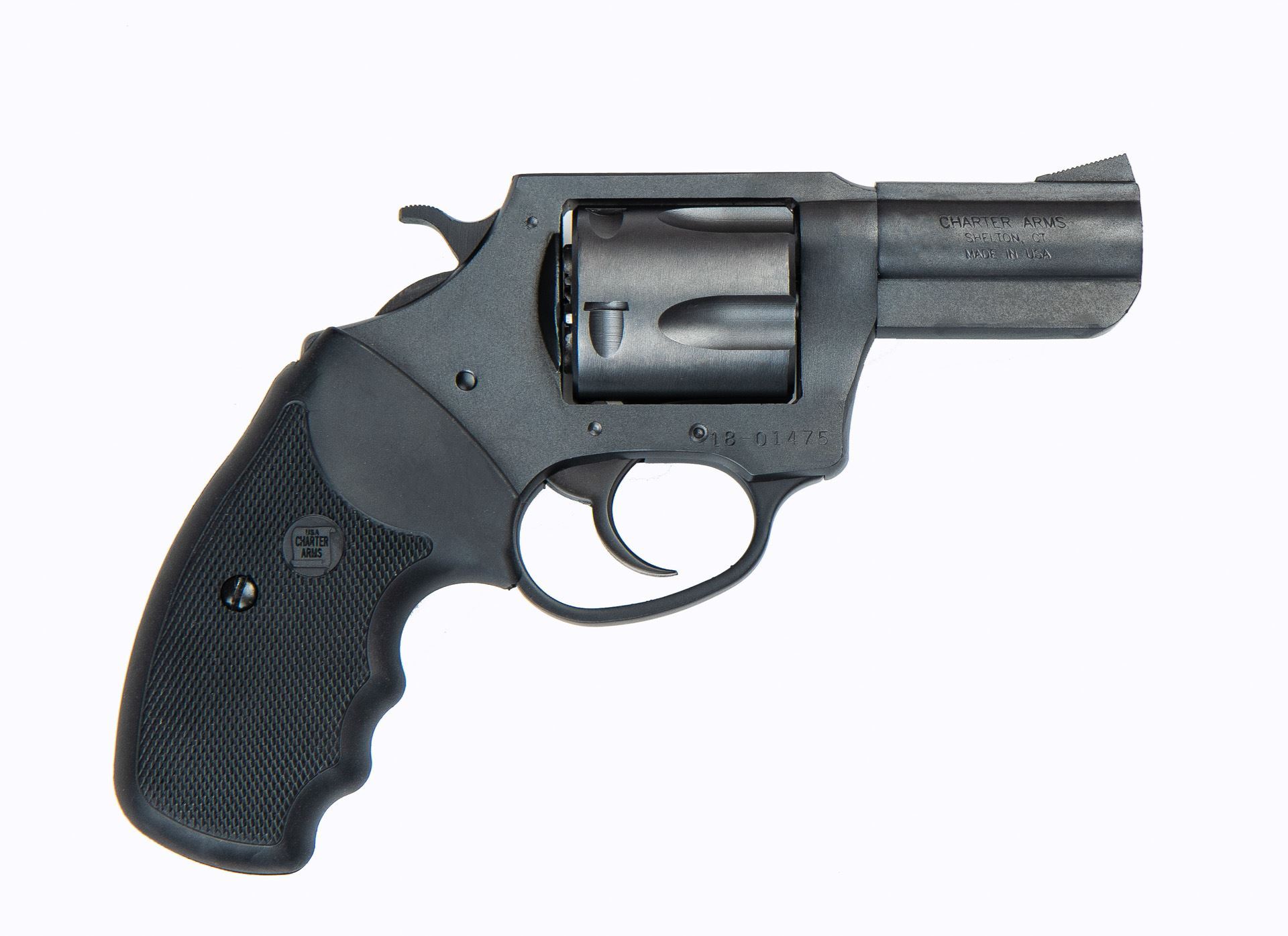 Charter Arms - BULLDOG, .44 Special, 2.5 ", 5rd, Stainless Steel ...