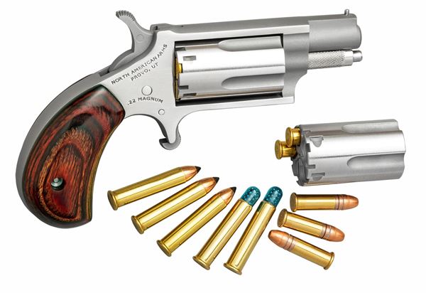 NAA- 22 LR/M Conversion Mini-Revolver,1 1/8" Barrel, 5rd at K-Var